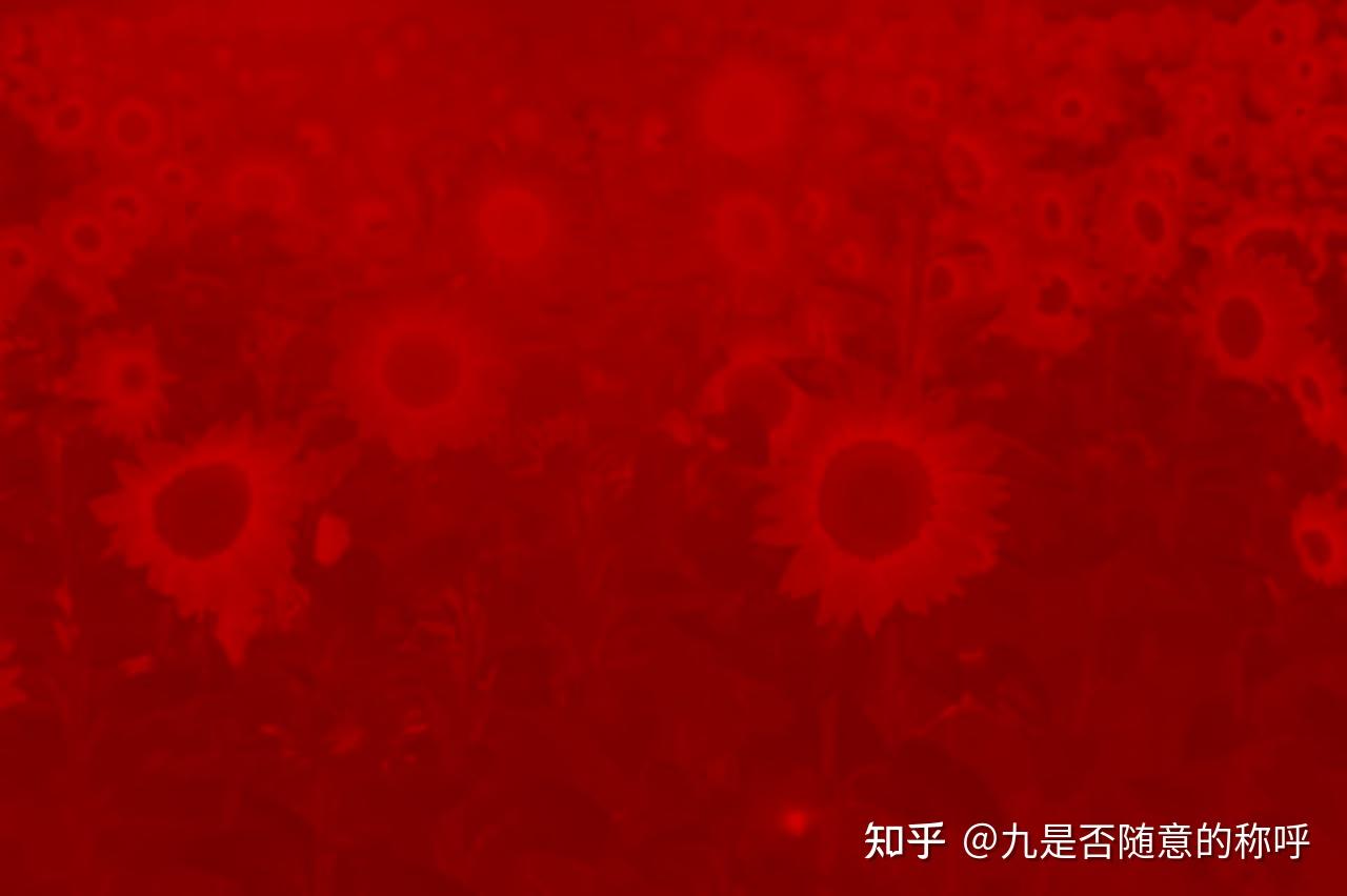 yuv转rgb,420,422,NV12, NV21,I420,YV12,YVYU,YUY2,UYVY, NV16, NV61,NV24 ...