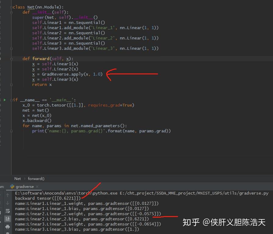 pytorch 实现Gradient Flipping 各种坑 - 知乎
