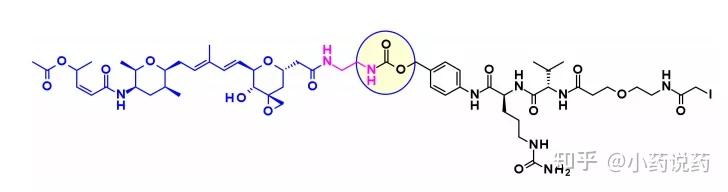 收藏！ADC全景概况（payload，linker，conjugate和Endocytosis） - 知乎