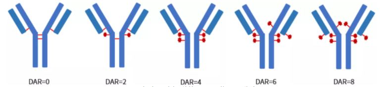 【飞诺美色谱】ADC药物DAR值分析的主要技术 - 知乎
