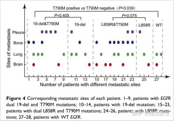“绘”解读“真”报告 | 肺癌检出原发EGFR 19del+T790M共突变，多角度指导患者诊疗 - 知乎