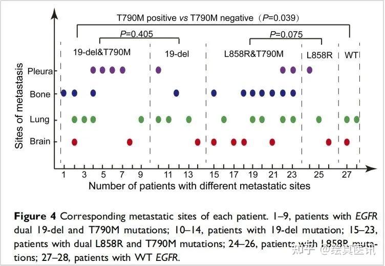 “绘”解读“真”报告 | 肺癌检出原发EGFR 19del+T790M共突变，多角度指导患者诊疗 - 知乎