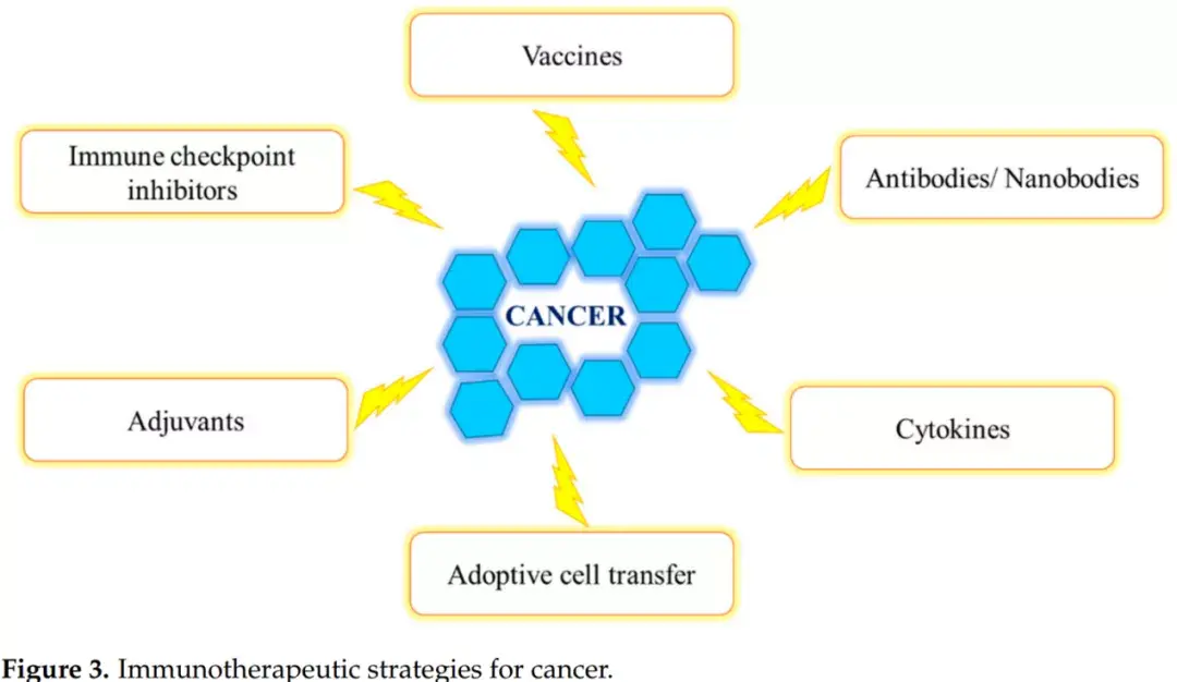 纳米抗体六大肿瘤临床应用 - 知乎