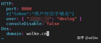DNSlog平台的搭建 - 知乎