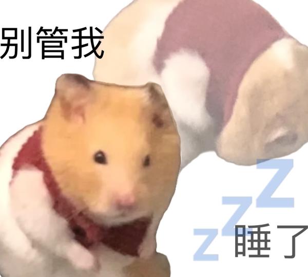 80张最近很火的发疯表情包|精神状态|无水印表情包 - 知乎