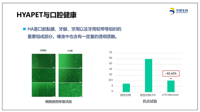 肠胃说它很不满 | 当宠物春节在家大吃大喝后...... - 知乎