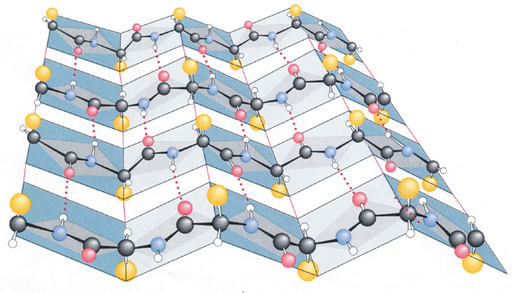 β-折叠的特性和应用 - 知乎