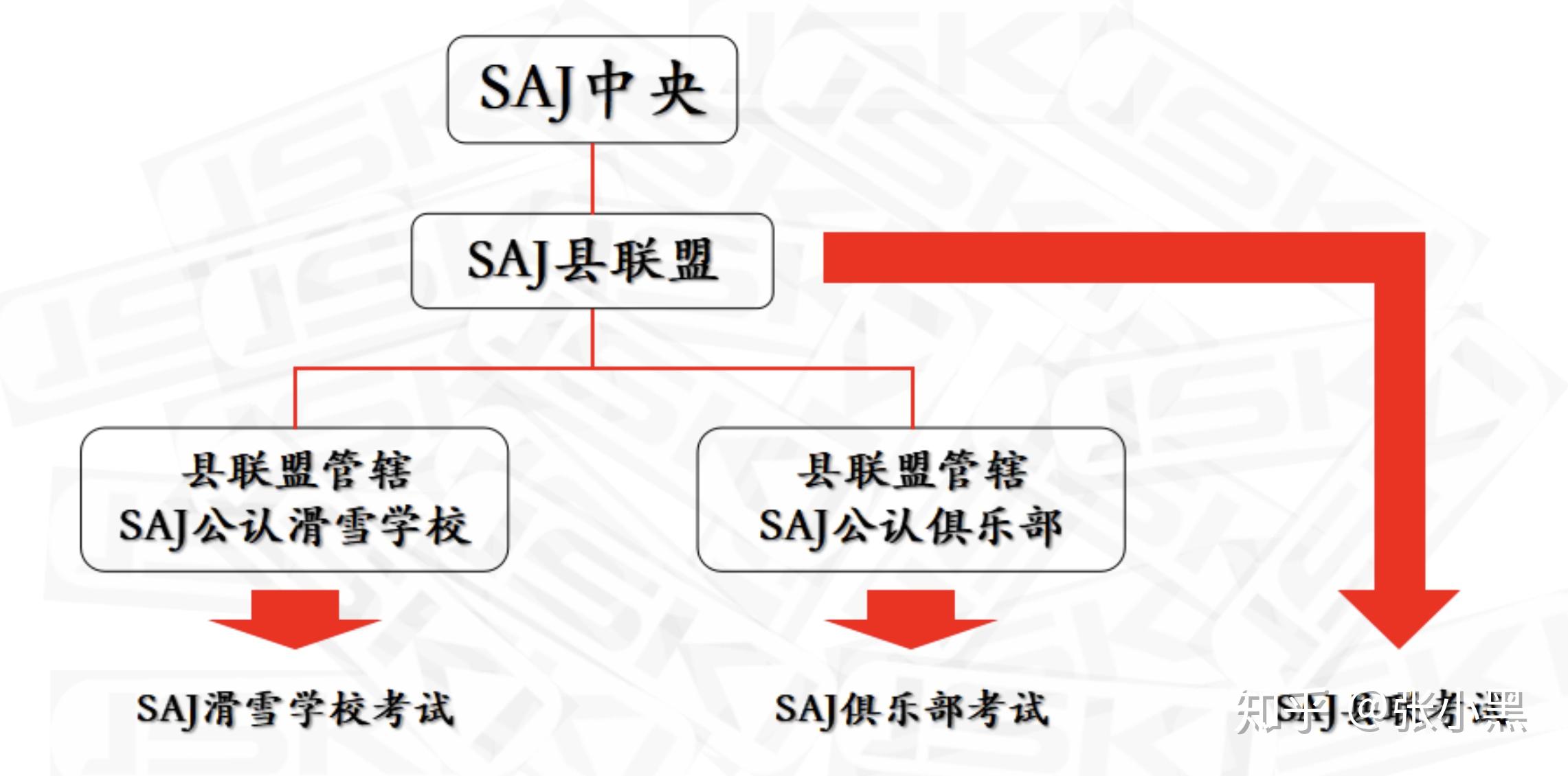 打破信息不对等 彻底搞懂亚洲最强滑雪认证SAJ - 知乎