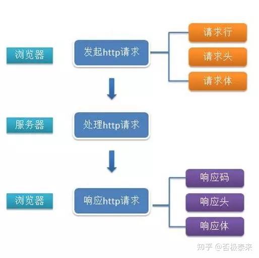 爬虫基本原理及解析 知乎 
