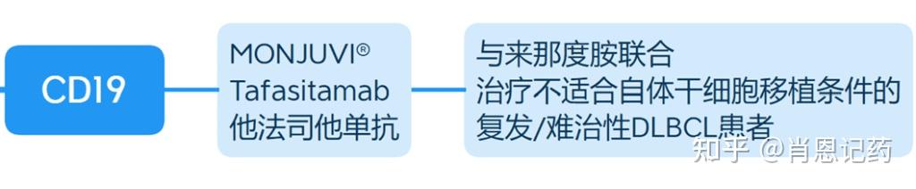 记住所有FDA生物药 | Tafasitamab靶向CD19 | 弥漫性大B细胞淋巴瘤 - 知乎