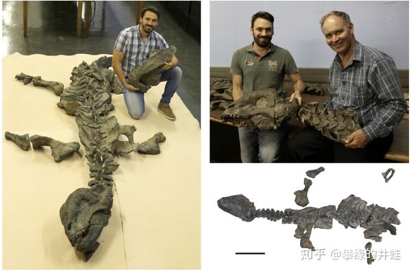 【地球演义】百兽图5：胜穷奇 - 知乎