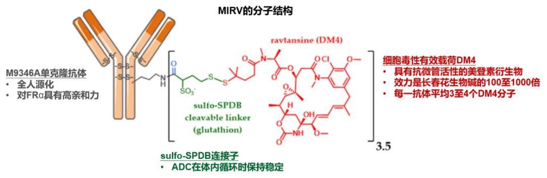 铂耐药卵巢癌治疗新选择----MIRV - 知乎