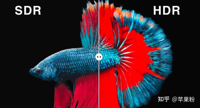 Mac上到底怎么看HDR视频？ - 知乎