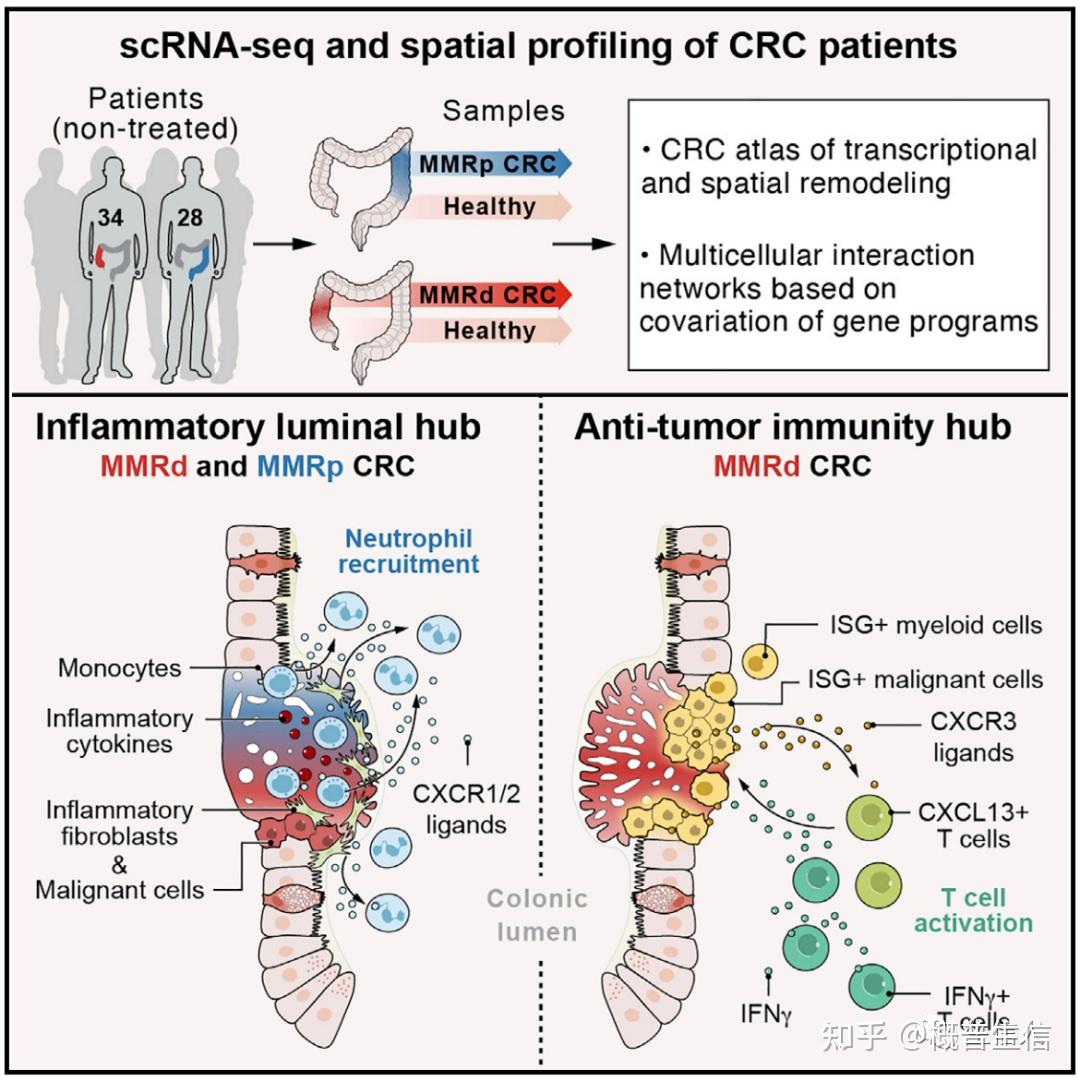 且看CNS如何用公共数据解析肿瘤内异质性 - 知乎