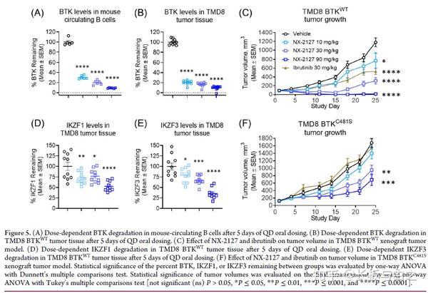 PROTAC临床分子的研发故事：BTK降解剂NX-2127的发现和临床前评价 - 知乎