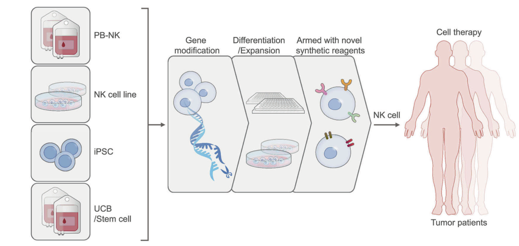 自然杀伤（NK）细胞的来源、扩增技术以及符合GMP标准的制造方法的进展 - 知乎