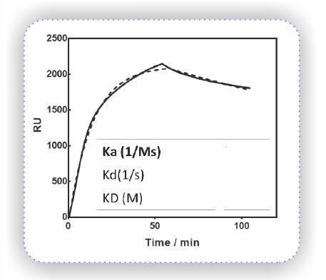 P4SPR个人型分子间相互作用分析仪---创新的SPR仪器，释放无标记检测需求 - 知乎