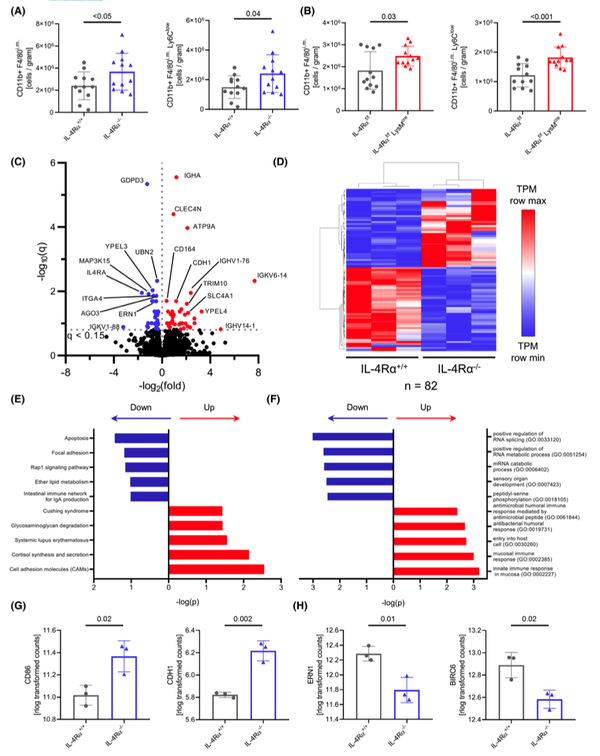 FASEB丨探索IL-4α在单核细胞中的作用 - 知乎