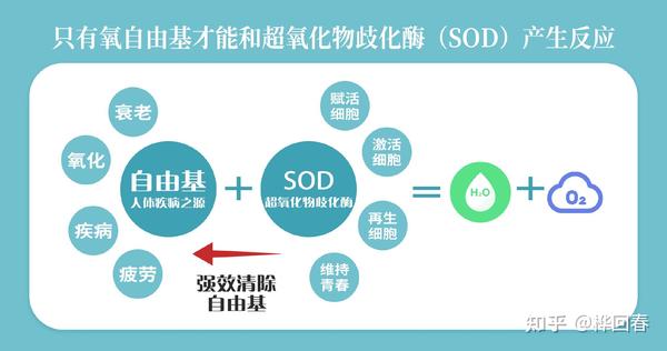 SOD小讲堂（一）：SOD的认识和应用史 - 知乎