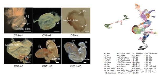 2023年1~3月Nature期刊精华汇总 - 知乎