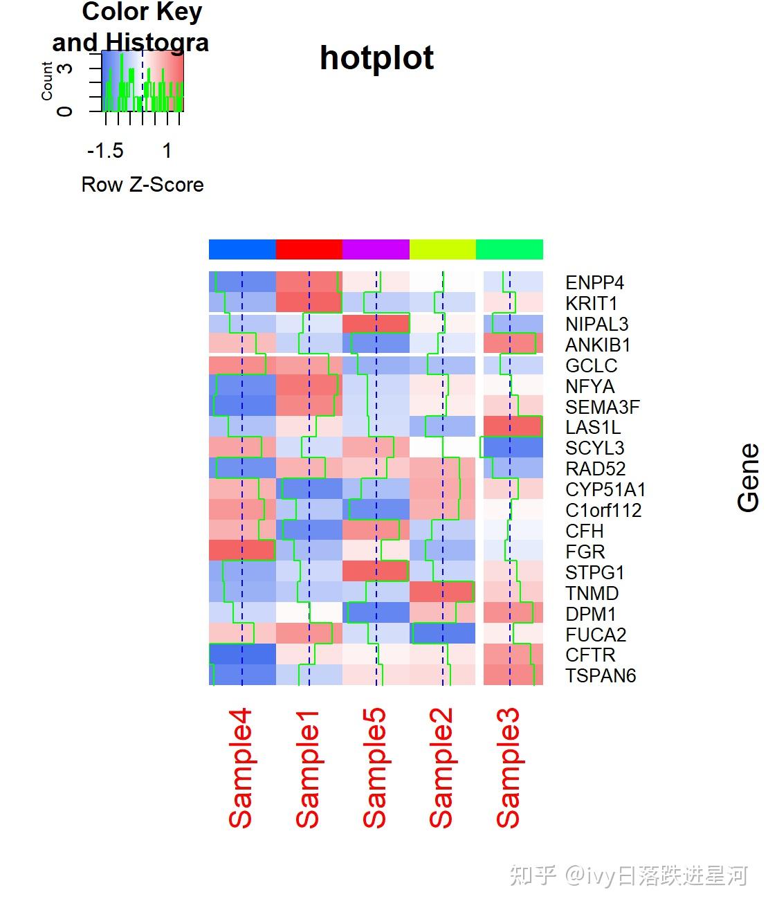 R语言中heatmap()、heatmap.2()、pheatmap()、ComplexHeatmap()绘制热图 - 知乎