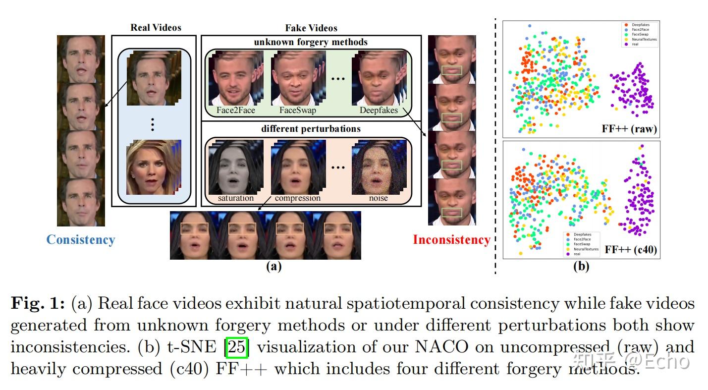 文献阅读：2024 ECCV—Learning Natural Consistency Representation for Face Forgery Video Detection - 知乎