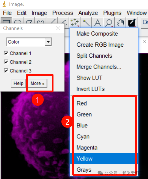 用ImageJ添加伪彩 - 知乎