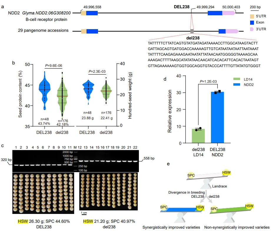 诺禾致源NG合作文章｜高质量大豆基因组及图形泛基因组揭示SV在育种改良中的功能调控机制 - 知乎