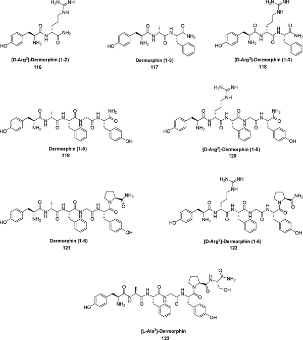 药物发现│基于天然来源的非吗啡喃骨架的镇痛阿片配体的开发