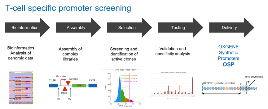 CGT系列 | CAR-T疗法工艺开发策略 - 知乎