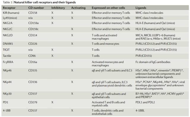 什么是NK细胞？关于NK细胞对人体有何作用机制？ - 知乎