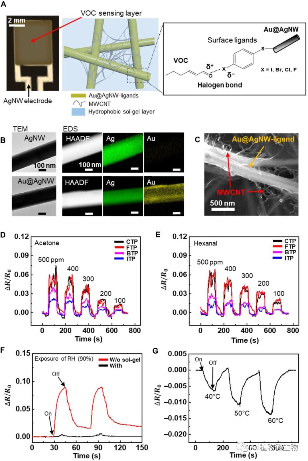 Science Advances | 研究揭示多功能传感器可检测早期植物病害和作物威胁！ - 知乎