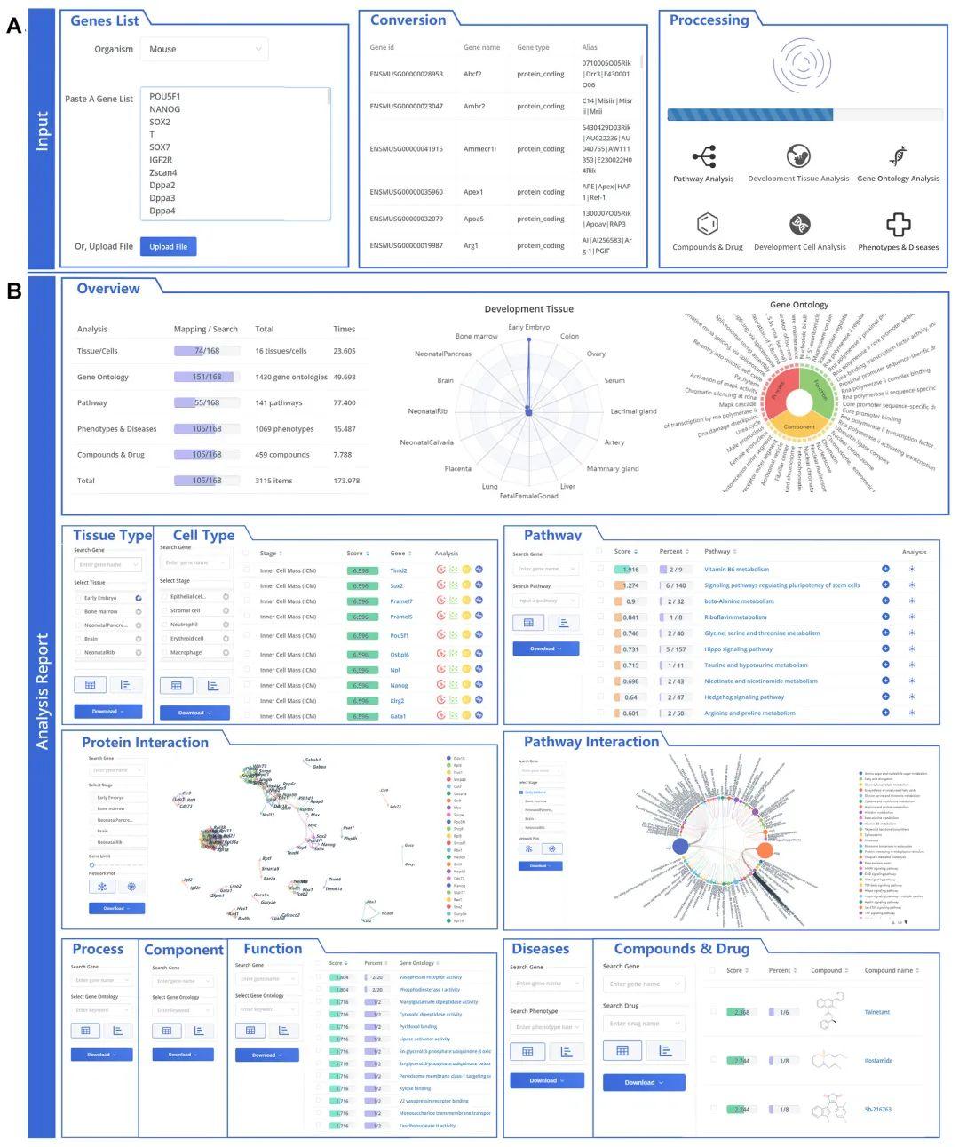 EmAtlas：探索哺乳动物胚胎发育时空动态的综合图谱 - 知乎