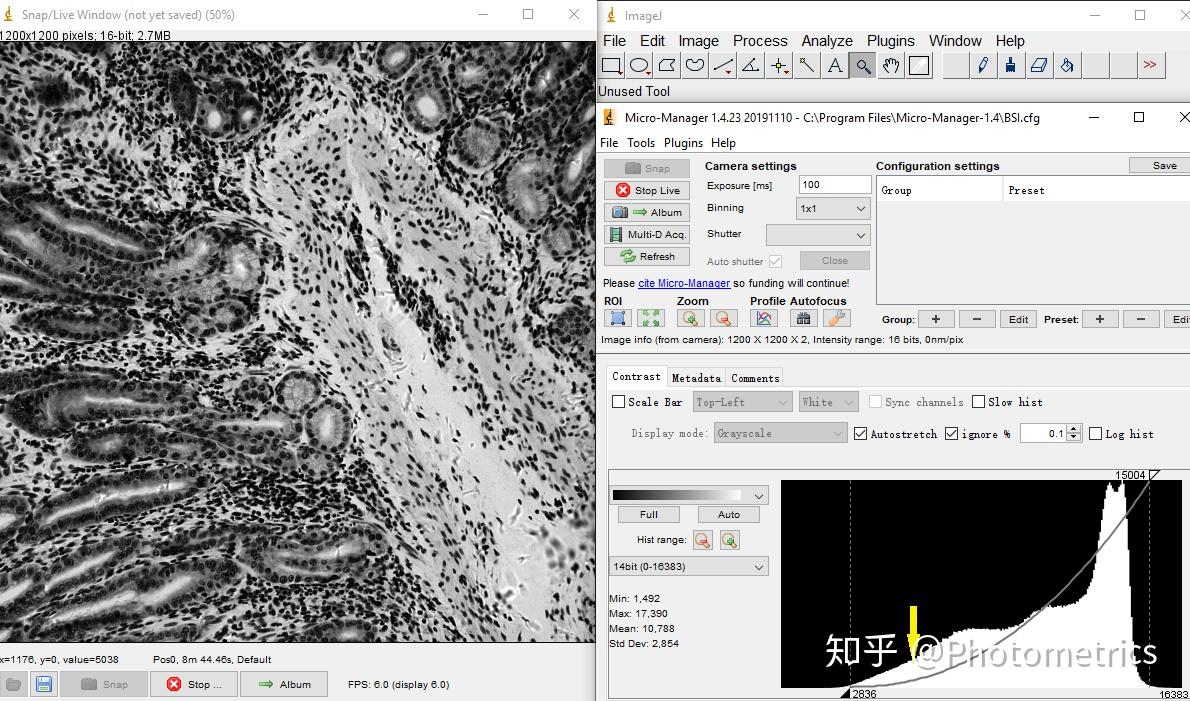 Micro-Manage/ImageJ软件使用技巧快问快答-1 - 知乎