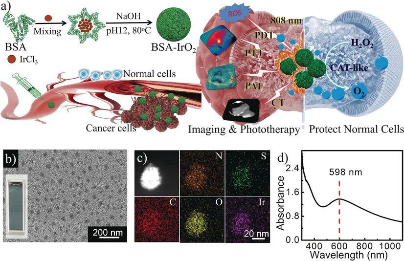 【Angew.Chem.Int.Ed】BSA-IrO2 : 具有高光热转换效率的类CAT纳米颗粒，用于抗炎和抗肿瘤治疗 - 知乎