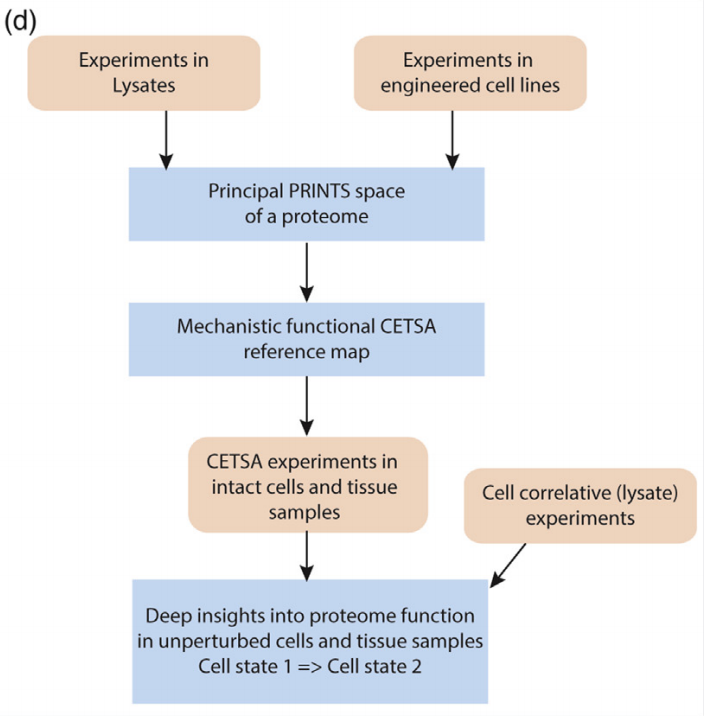 技术| Cellular Thermal Shift Assay（CETSA） - 知乎