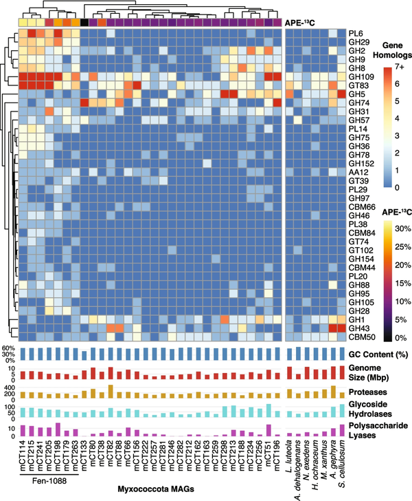Microbiome | 新方法揭示丛枝菌根真菌菌丝际中的跨界相互作用！ - 知乎