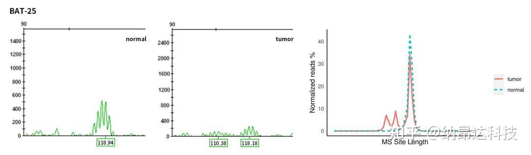 把握3个关键因素，让你稳定检出MSI - 知乎