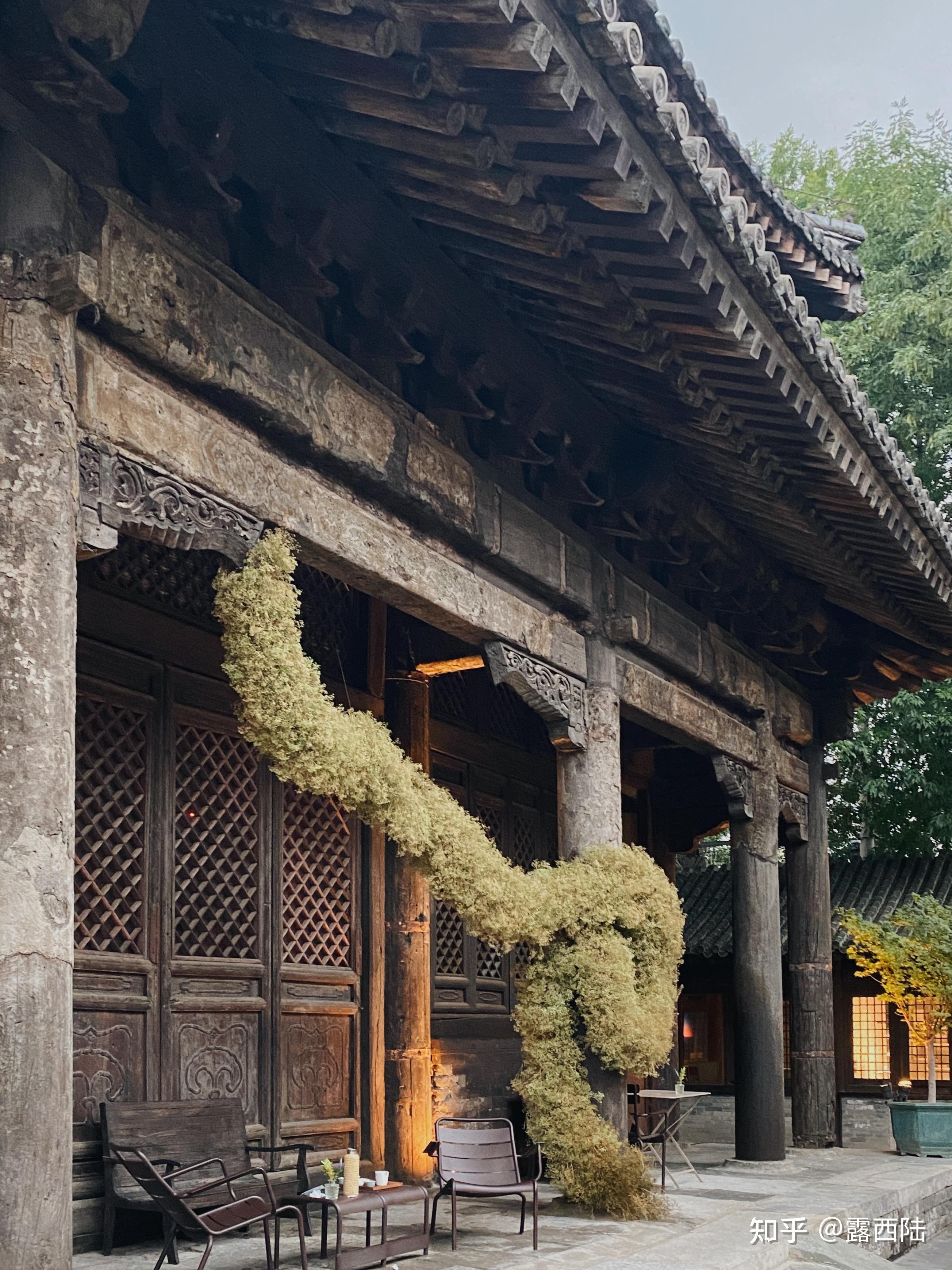 东景缘游玩指南，在二环宝藏去处度过完美一日 - 知乎