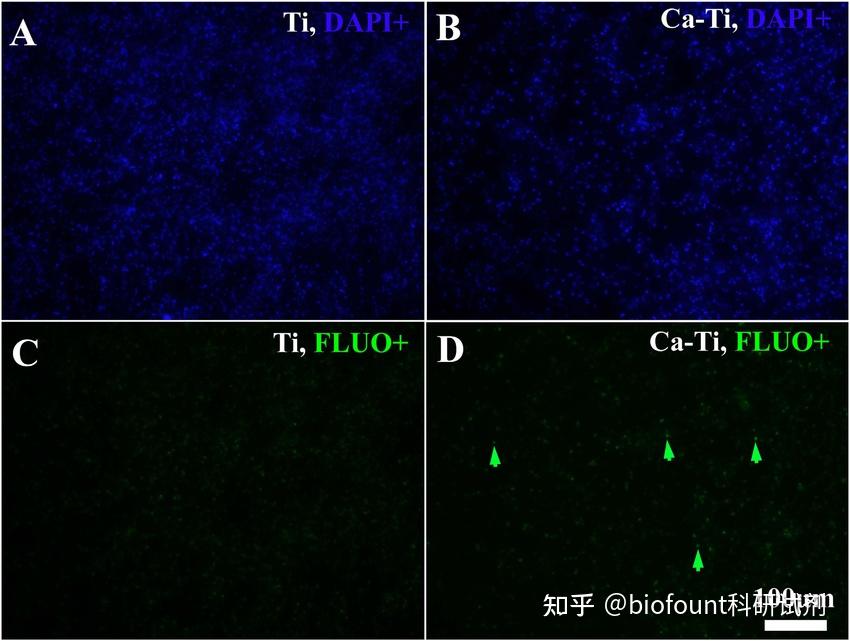 Fluo-3 AM；Ca2+ 荧光探针 - 知乎