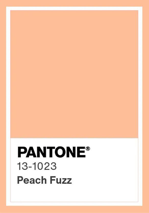 Pantone发布2024年度代表色：柔和桃 - 知乎