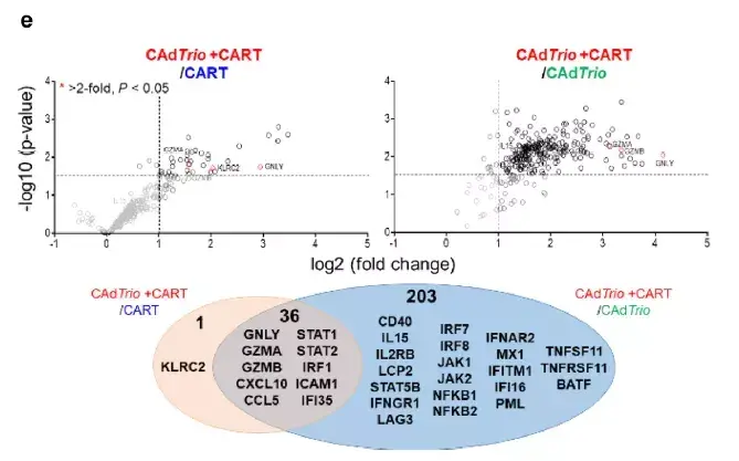 CAR-T细胞+联合疗法：免疫疗法革命的下一步是什么？ - 知乎