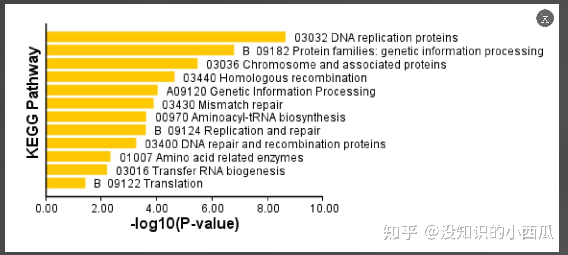 KEGG/GO富集分析，TBtools居然都能解决！还免费！（保姆级教程） - 知乎