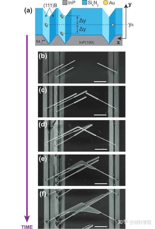 《AFM》：可控生长InSb纳米低维结构和其高质量量子器件 - 知乎