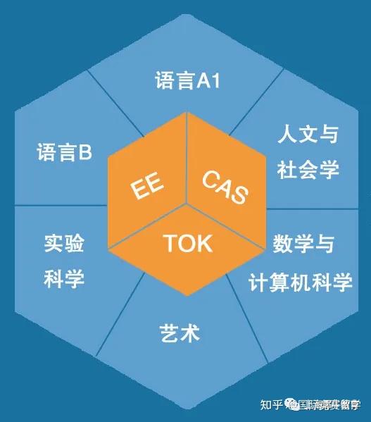 如何写好IB TOK？抓住批判性思维的关键突破口，三个建议轻松开题！ - 知乎