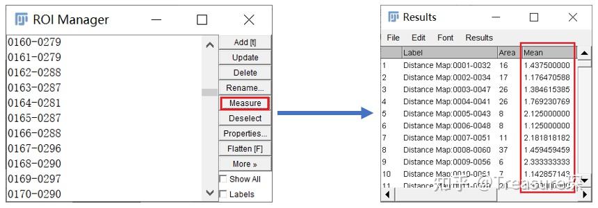 ImageJ实用教程——骨架化分析(定量分析篇) - 知乎