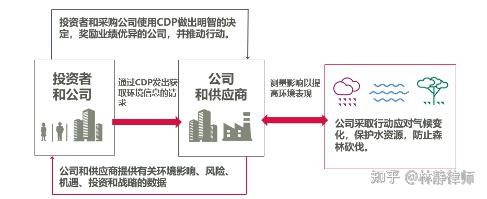拥抱ESG系列（二）：ESG的标准体系及应用 - 知乎