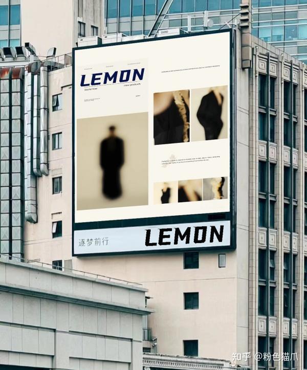 2025，我要成立LEMON品牌 - 知乎
