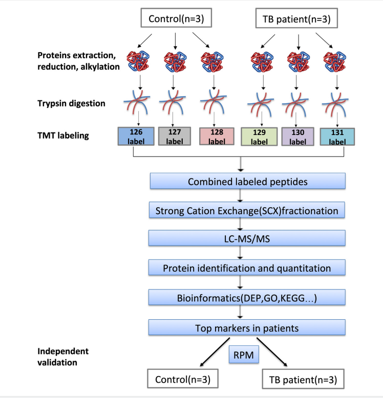 TMT标记定量蛋白组学+PRM验证为结核性胸膜炎的分子病理学机制提供新的见解，并发现潜在的诊断标志物 - 知乎