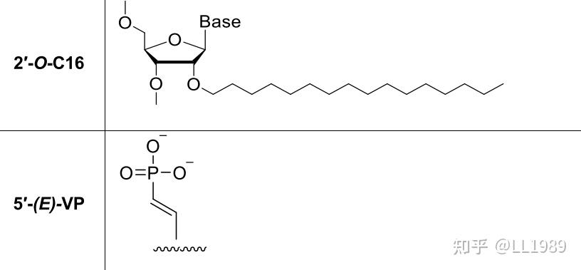 河马生物|C16-siRNA/ASO合成 - 知乎